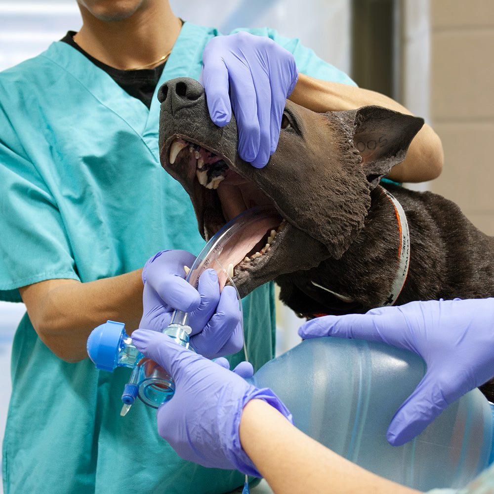 TacMed Solutions – Mantel Technologies Store