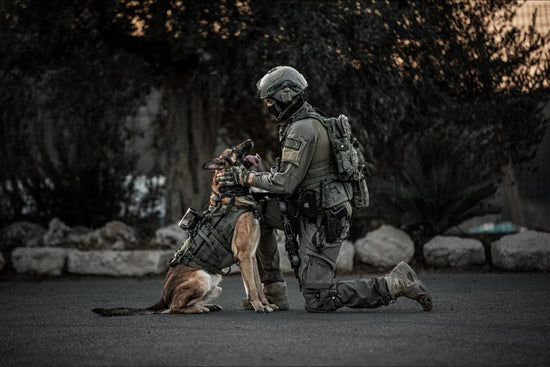 MantelTechnologiesStore – MantelTechnologies-Store